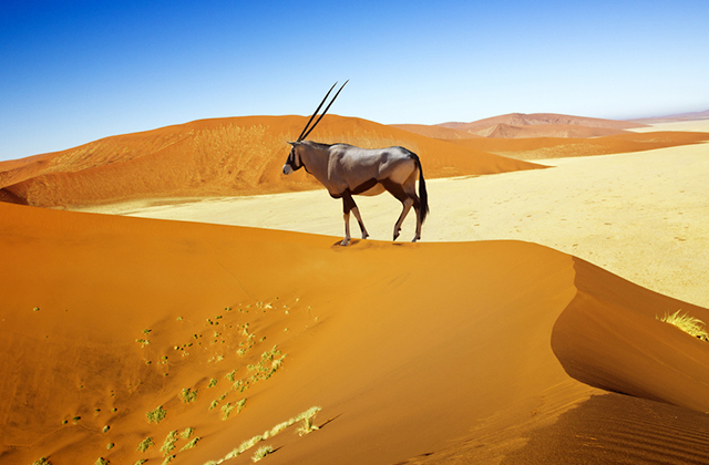 Namibia Travel Guide & Sightseeing | Flight Centre South Africa